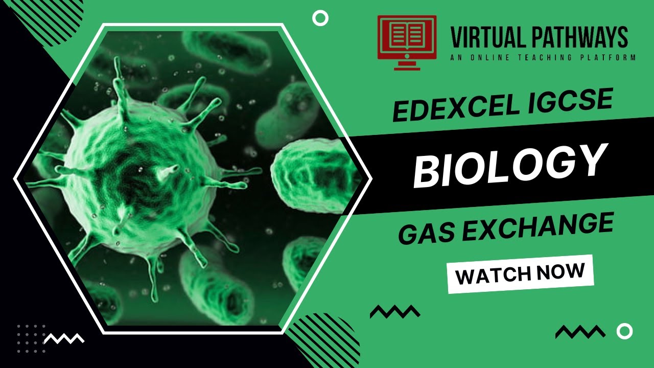 Gas Exchange (Part 2) | Edexcel IGCSE (9-1) Biology | Virtual Pathways ...