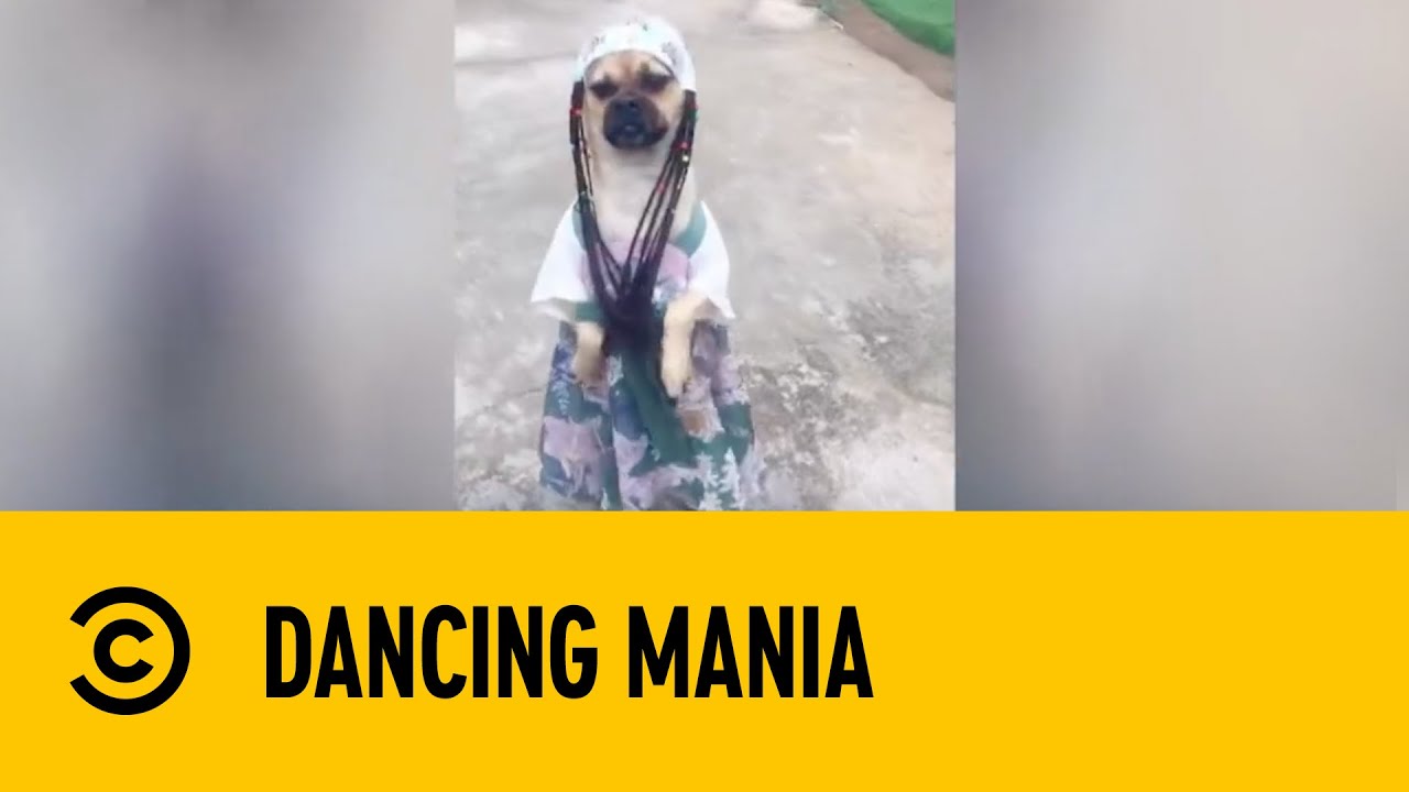 Dancing Mania | The Greatest #AtHome Videos | Comedy Central Africa ...