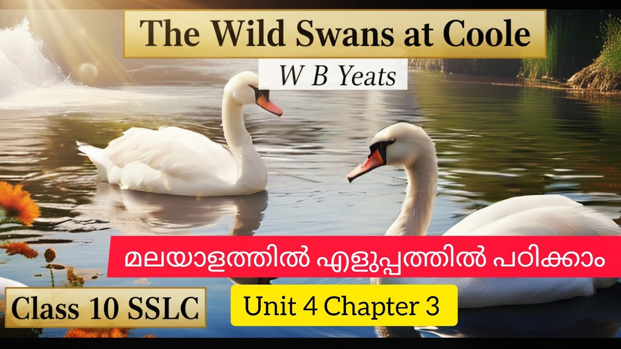 The Wild Swans at Coole W B Yeats Malayalam Explanation Class 10 SSLC ...