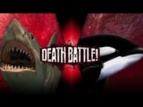 Fan Made Death Battle Trailer: Jaws VS Orca (Universal VS Paramount ...