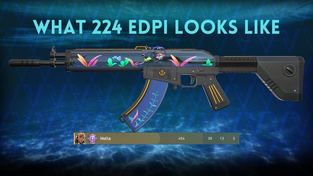 What 224 eDPI Looks Like - YouTube