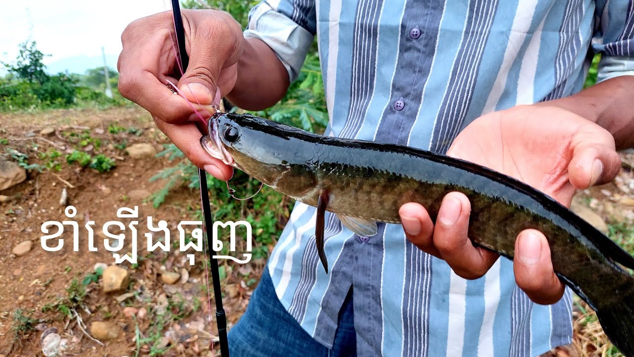 khmer fishing /Fishing with artificial food. - YouTube