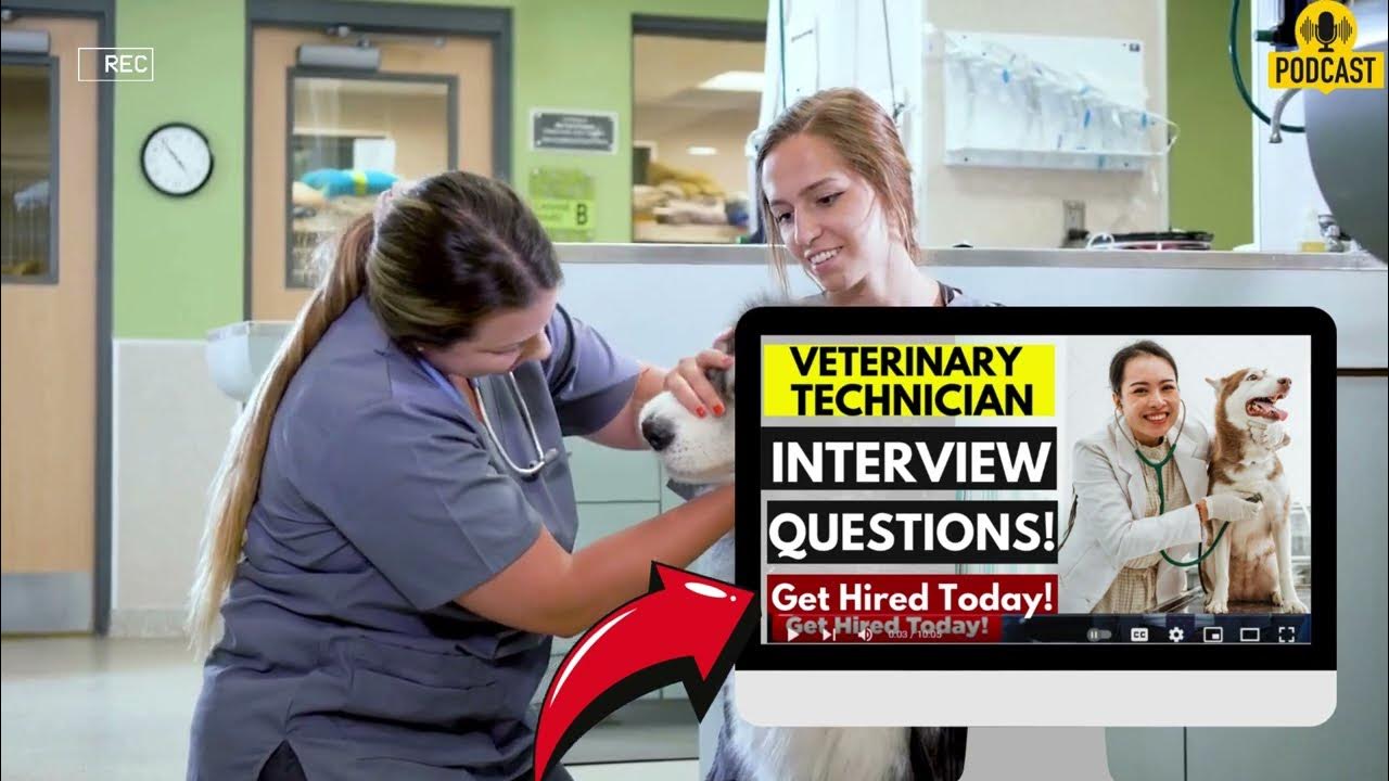 Veterinary Technician Interview Questions and Answers | How To Ace ...