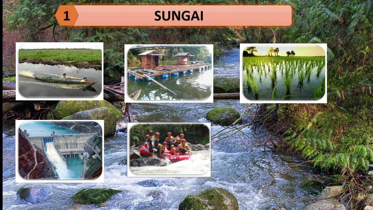 Kenampakan Alam Daratan dan Perairan ( Kelas 5 Tema 9) - YouTube