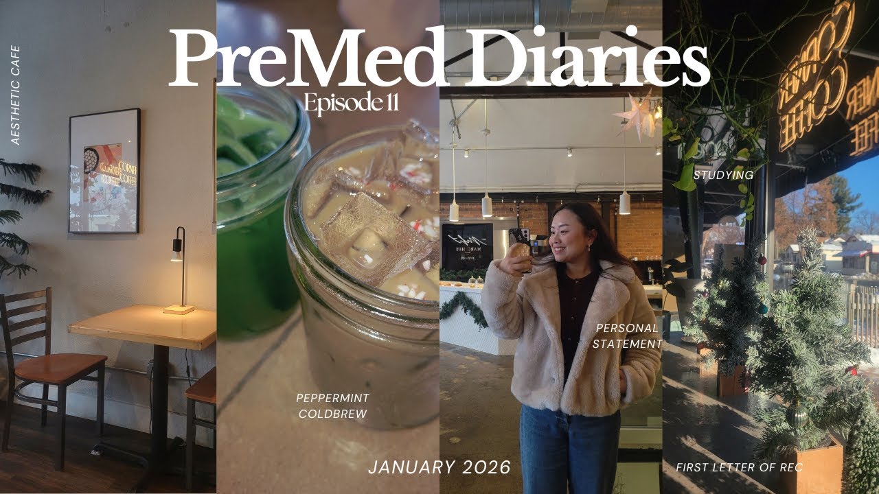 PreMed Diaries 11 | Letters of Rec, Studying, Personal Statement - YouTube