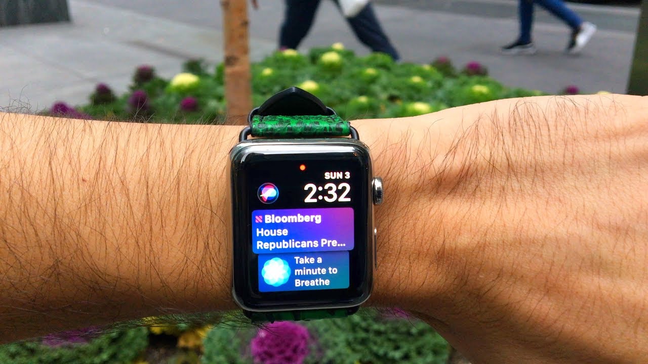 Review: [Coach Edition] Apple Watch Strap - SnakeSkin & Rexy - YouTube