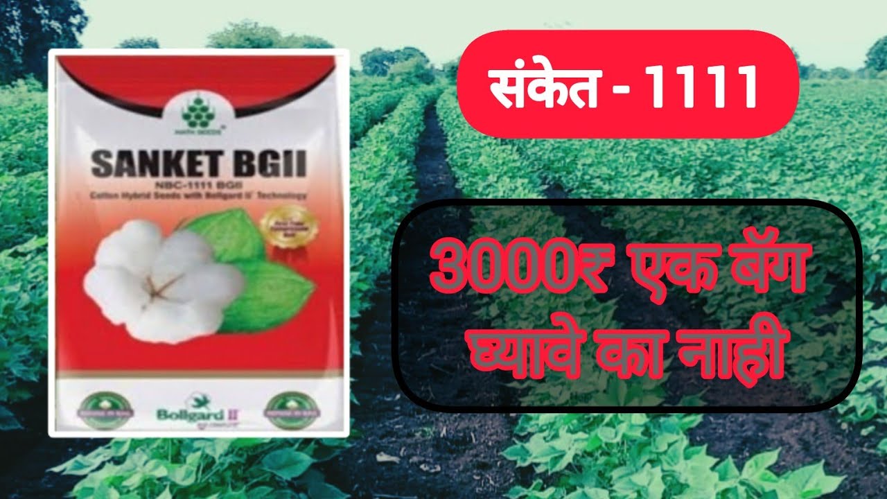 नाथ संकेत 1111 हे वान लावावे का || एक बॅग 3000 ला विकत आहे || Nath ...