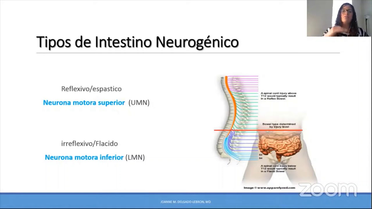Intestino Neurogénico: lo que todo profesional de la salud debe saber ...