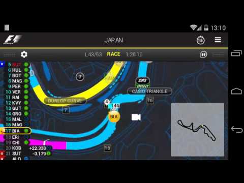 Jules Bianchi accident Japanese GP 2014 telemetry & GPS Pictures