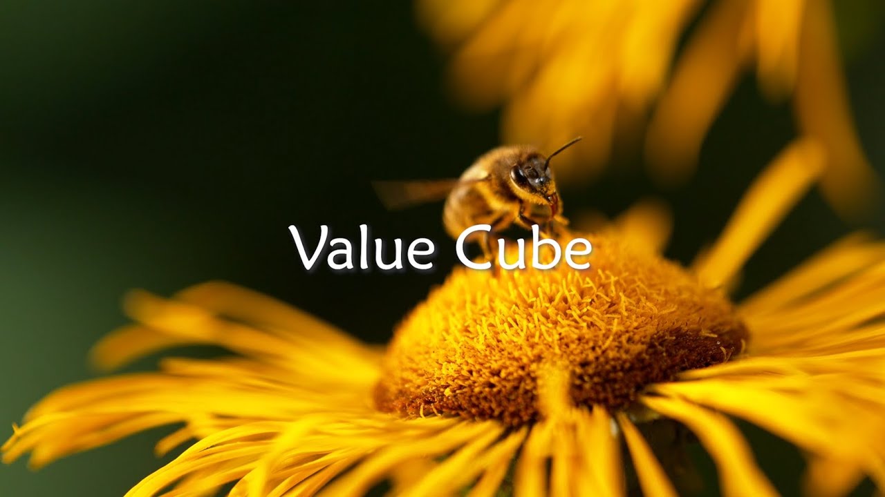 07 Strategyplanner - Value Cube - YouTube
