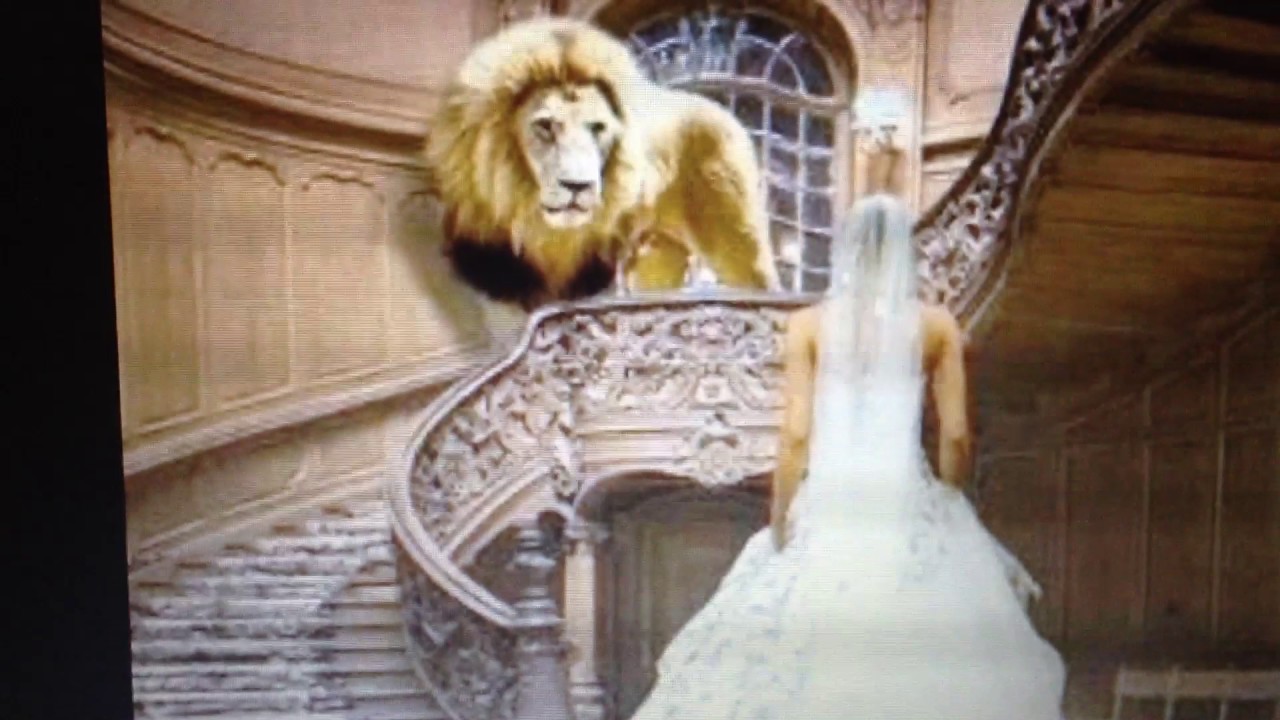VISION OF A LION, BRIDE,CASTLE AND A WHITE HORSE!!! - YouTube