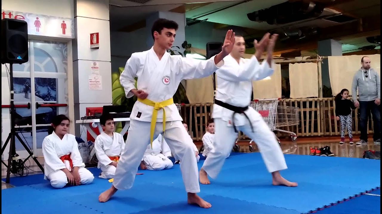 Tecniche di base SANKUKAI - YouTube