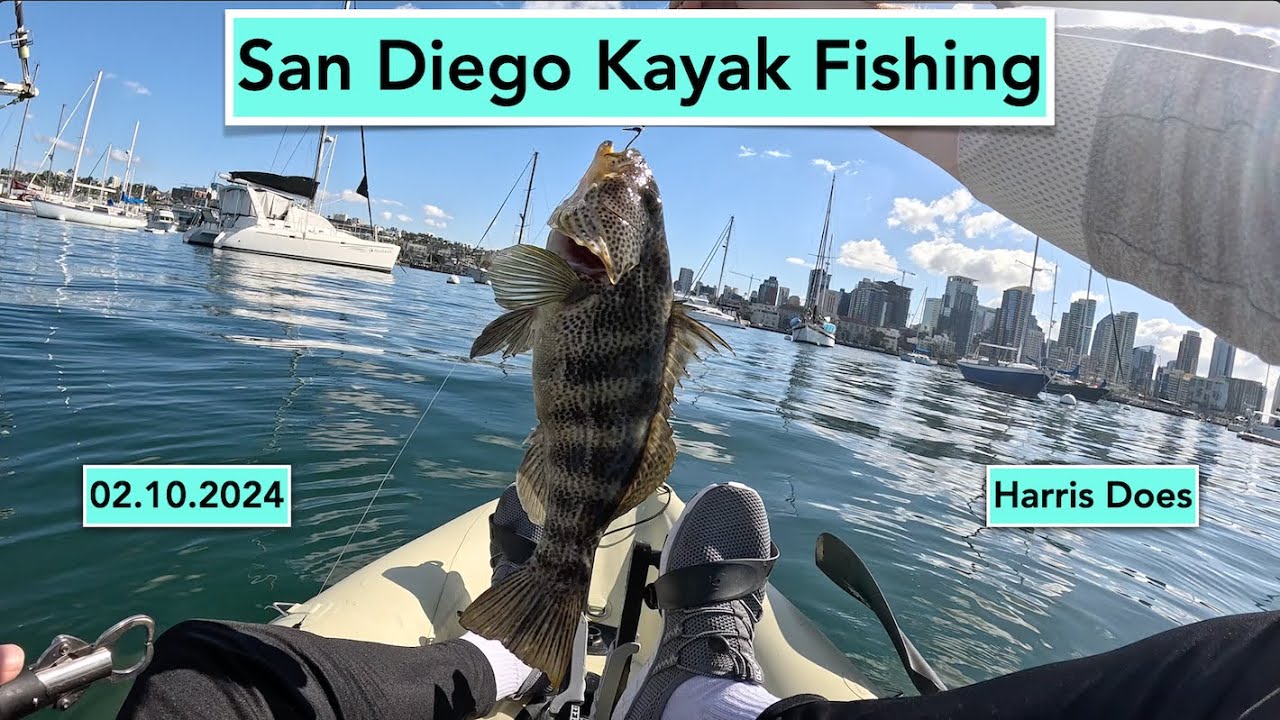 San Diego Bay Kayak Fishing | How to Catch Spotted Bay Bass | Winter ...