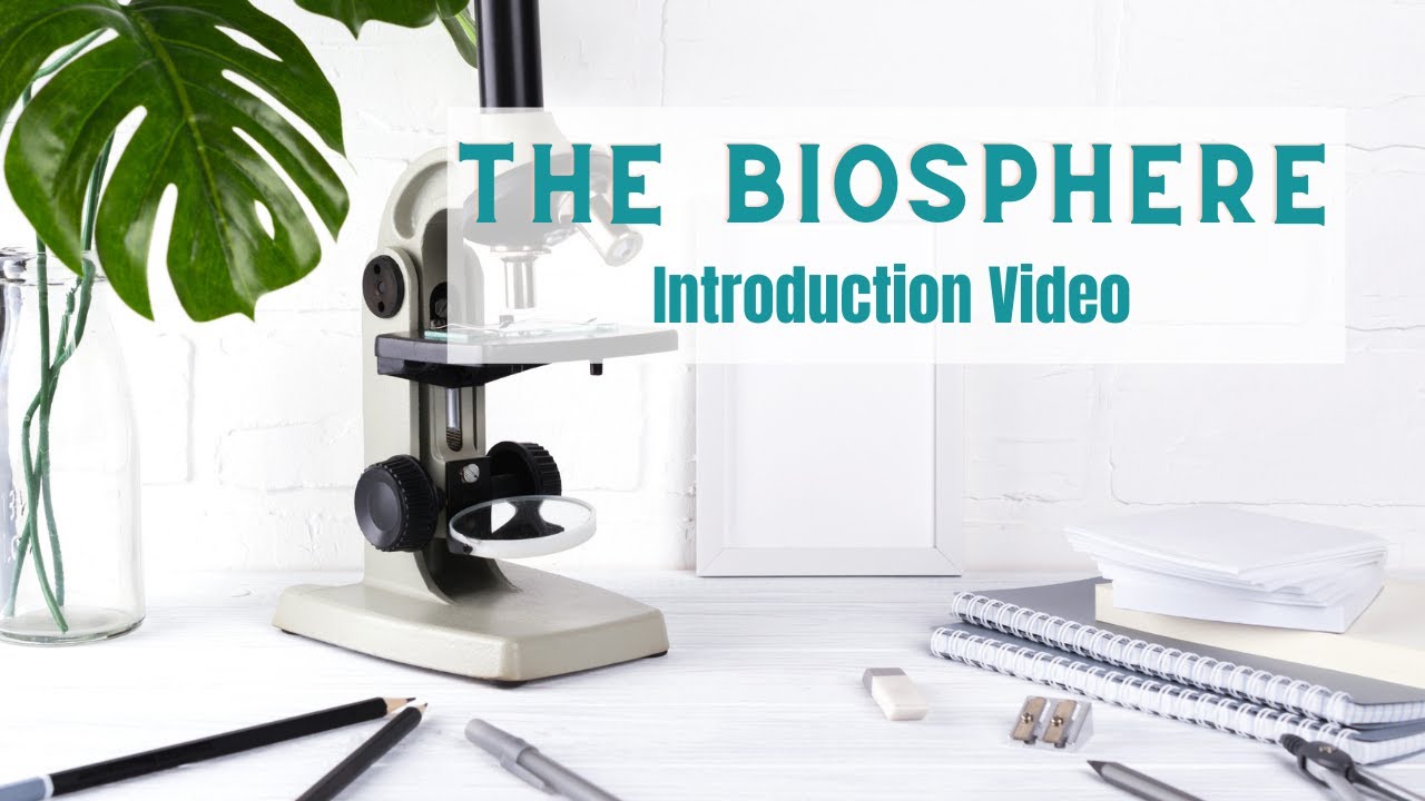 Introduction Lesson: The Biosphere| Natural Sciences - YouTube