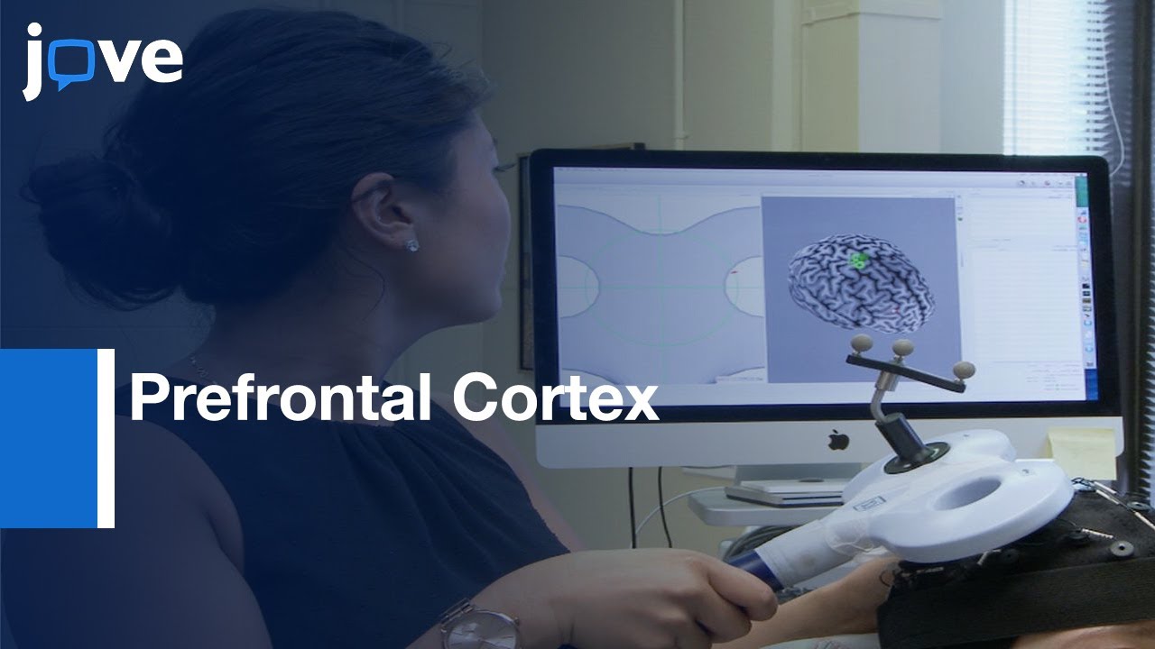 Magnetic Stimulation and EEG of Prefrontal Cortex | Protocol Preview - YouTube