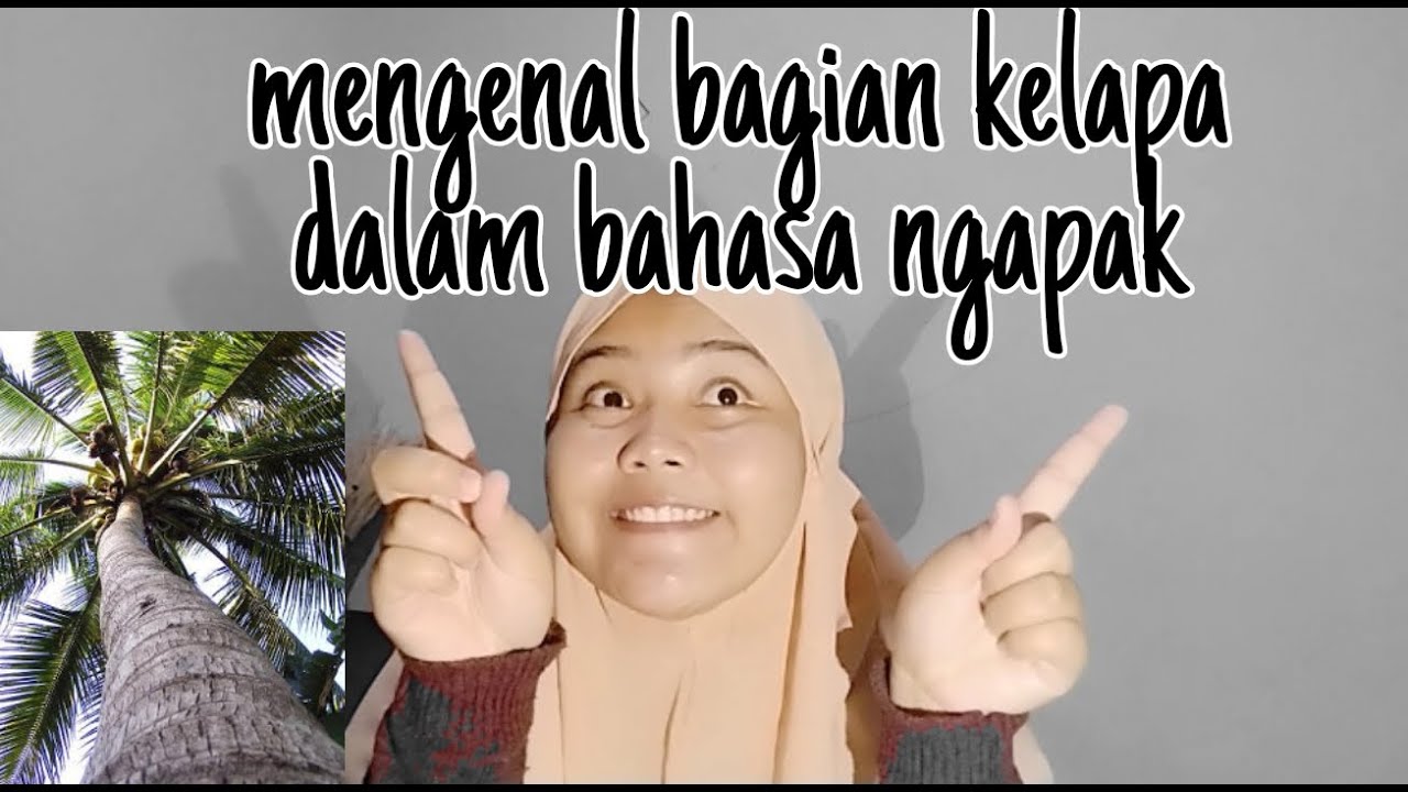 BELAJAR BAHASA NGAPAK #2||BAGIAN BAGIAN POHON KELAPA|| - YouTube