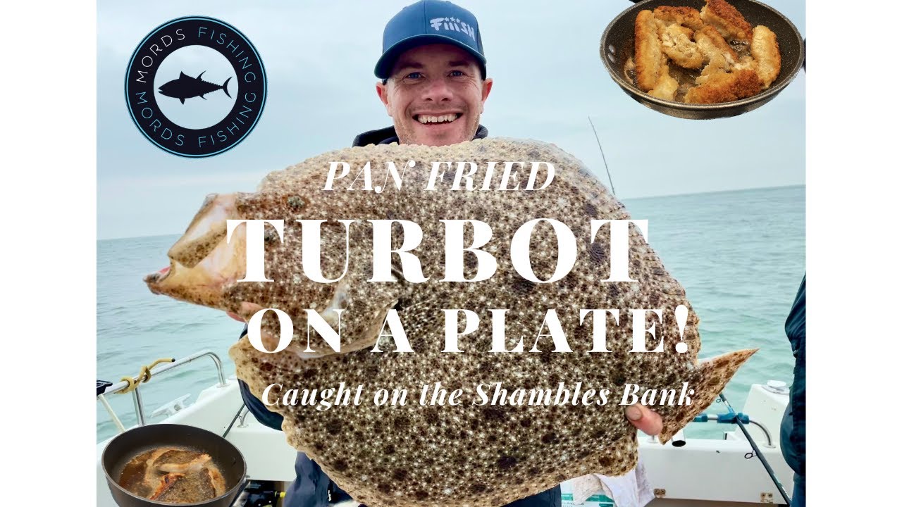 Pan Fried BIG TURBOT Caught Fishing on the Shambles Bank - YouTube