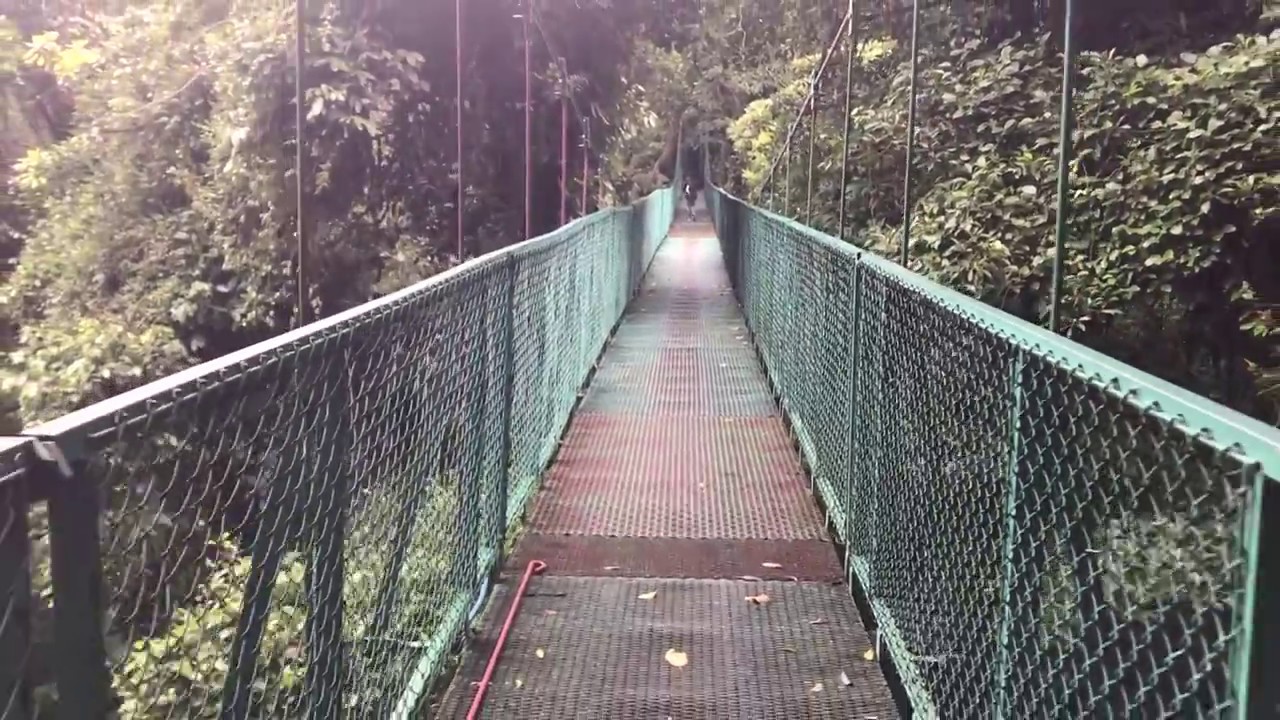 Selvatura Hanging Bridges - YouTube