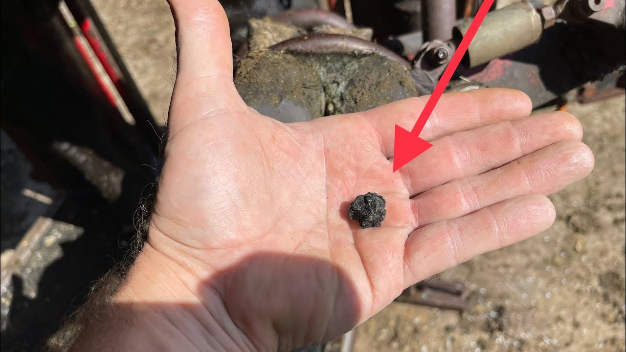 I found a LAVA ROCK in this COW’S HOOF—-INSTANT RELIEF - YouTube