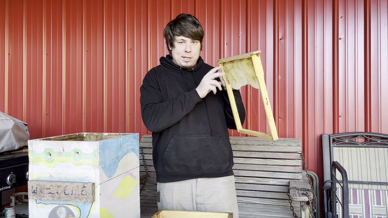 The Swarm Catchers Guide: Prepping a Swarm Hive - YouTube