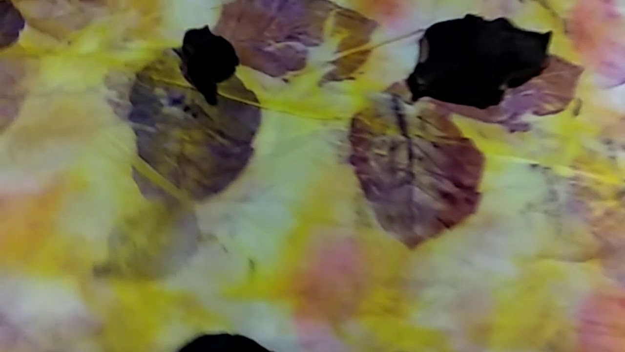TUTORIAL ECOPRINT MEDIA DAUN JATI - YouTube