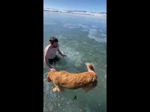Guy Dives In Frozen Lake And Struggles To Come Back Up - 1105257