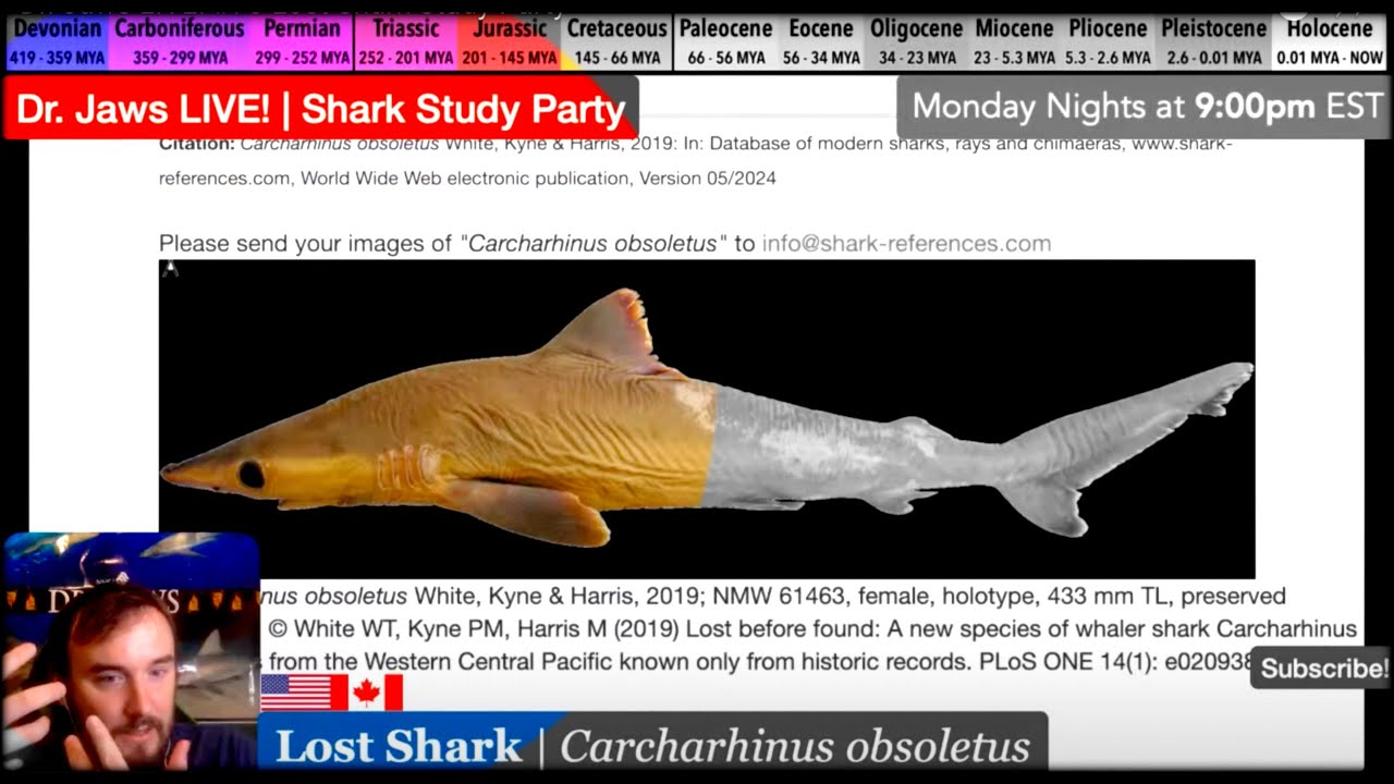 Dr. Jaws LIVE! #73 Lost Shark Study Party - YouTube