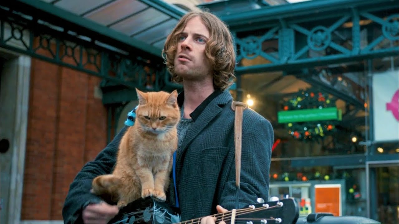 True Story!! Homeless Man Becomes Successful After Meeting This Stray ...