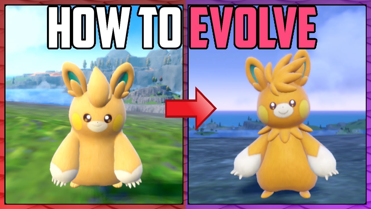 How to Evolve Pawmo - Pokémon Scarlet & Violet - YouTube