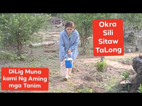 DiLig nG aming mGa tanim😍 @bicolanaofficialvlog3235 - YouTube