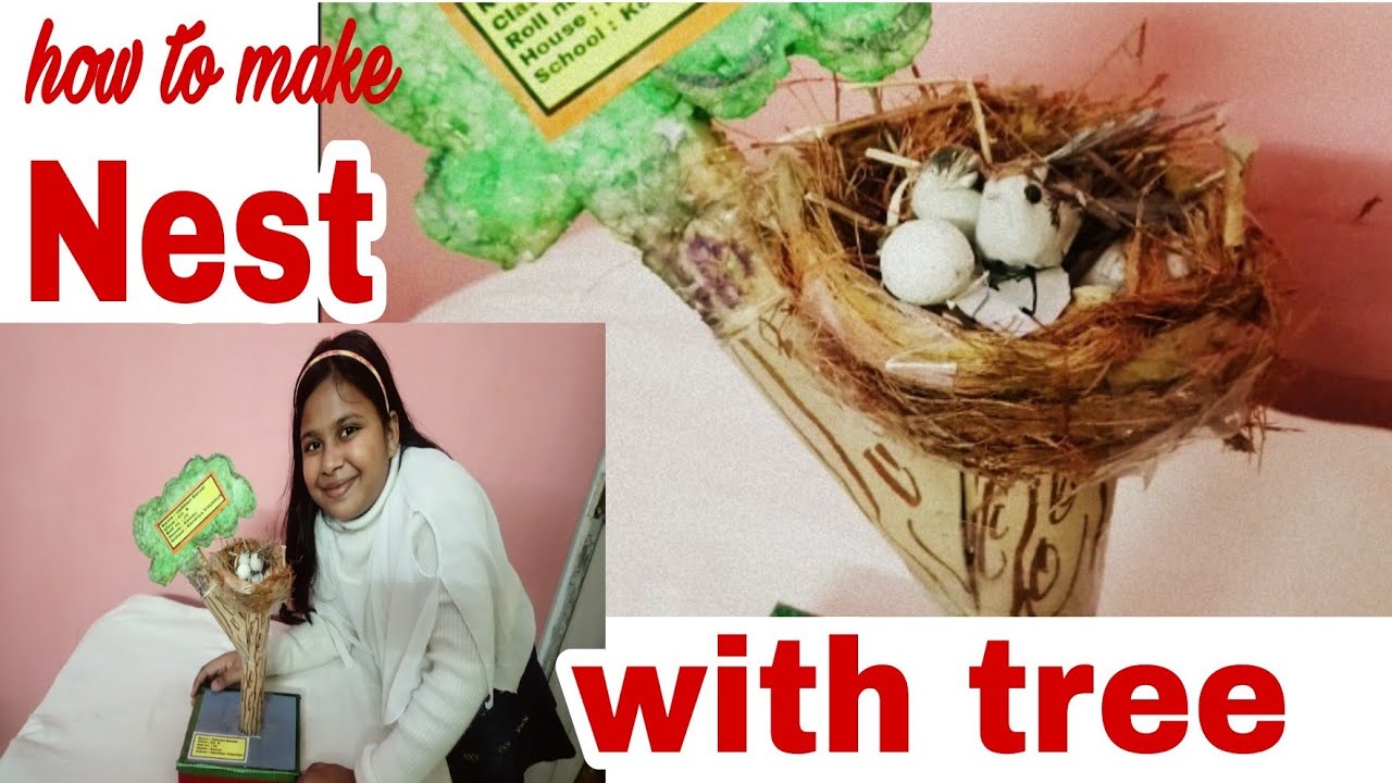 How To Make Birds Nest School Project Best Out Of Waste YouTube how-to-make-birds-nest-school-project-best-out-of-waste-youtube