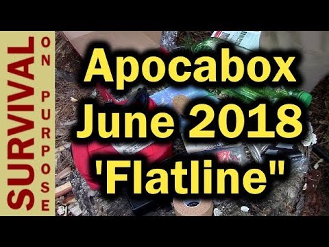 Apocabox June 2018 - The Flatline Box (and Project Demo) - YouTube