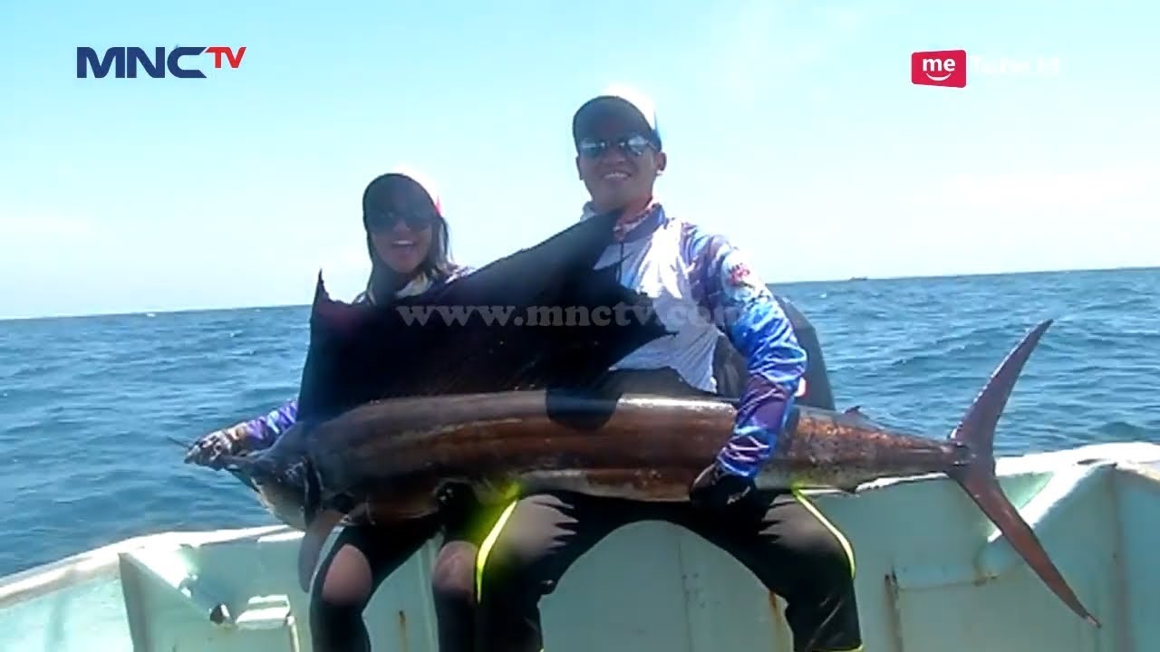 Petarungan Sengit Melawan Ikan Layaran atau Sailfish Part 02 - Mata ...