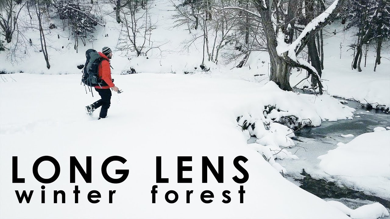 Long Lens Landscape Photography in Snow Covered Forest - YouTube