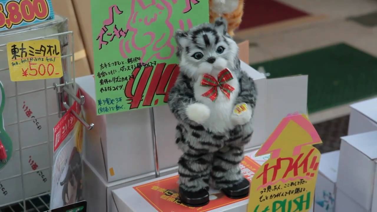 The Ridiculous Japanese Cat Dance - YouTube