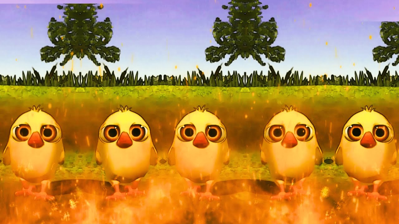 EL POLLITO PIO FUEGO EFECTOS DE BAILE DIVERTIDO ESPECIALES - YouTube