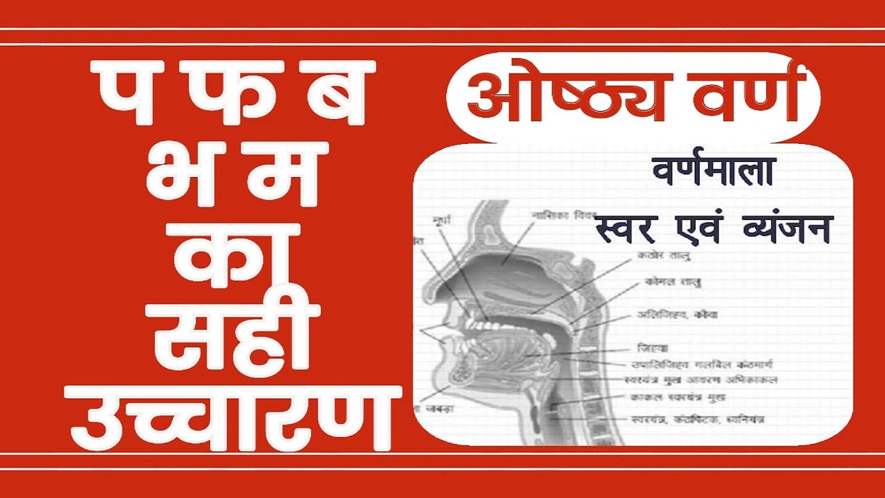 LEARN HINDI VARNMALA | प फ ब भ म | PA PHA BA BHA MA UCHCHARAN| HINDI ...