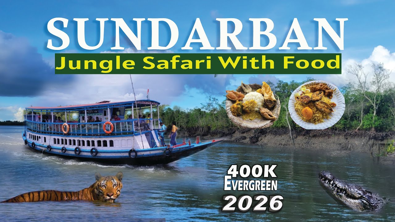 Sundarban tour 2024 | Sundarban Jungle Safari | kolkata Tourist Places ...