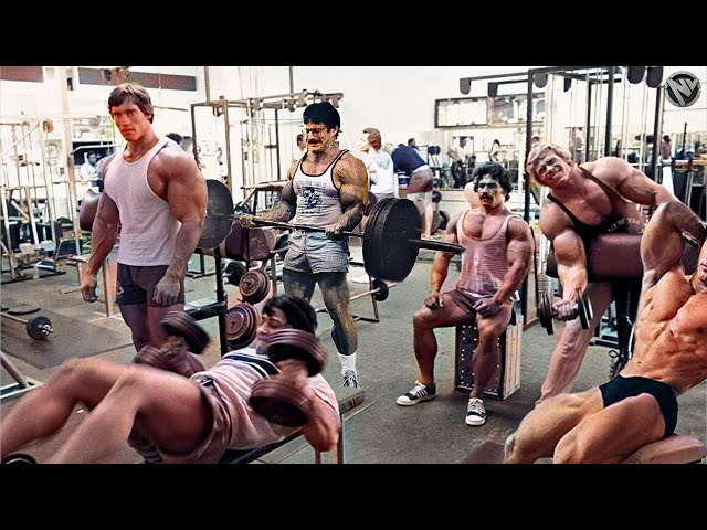 Old School Gym Fitness Old School Weightlifting Gym Etiquette