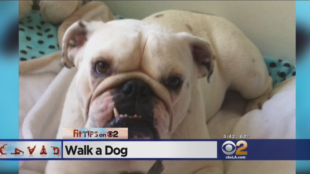 Fit Tips On 2 With Alana Cole - YouTube