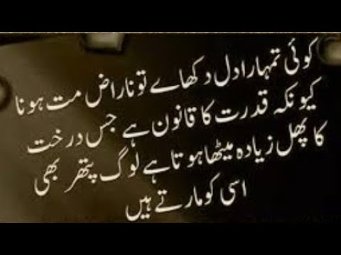 Zandgi Ke Anmool Batay Aj Ke Achi batay - YouTube