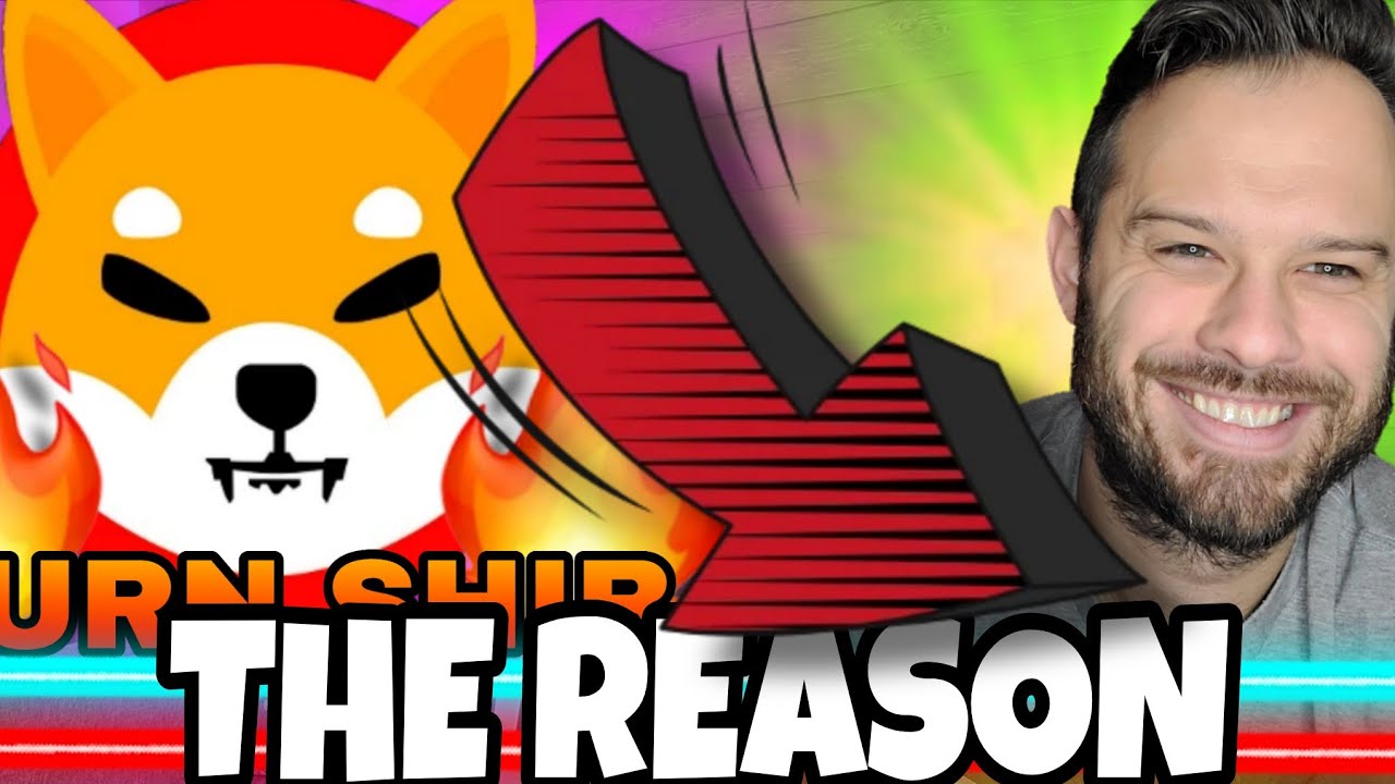 Shiba Inu Coin | What Is Causing SHIB To Fall Today? - YouTube