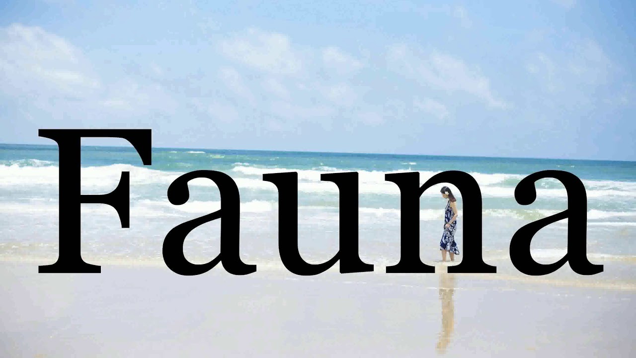 How To Pronounce Fauna🌈🌈🌈🌈🌈🌈Pronunciation Of Fauna - YouTube