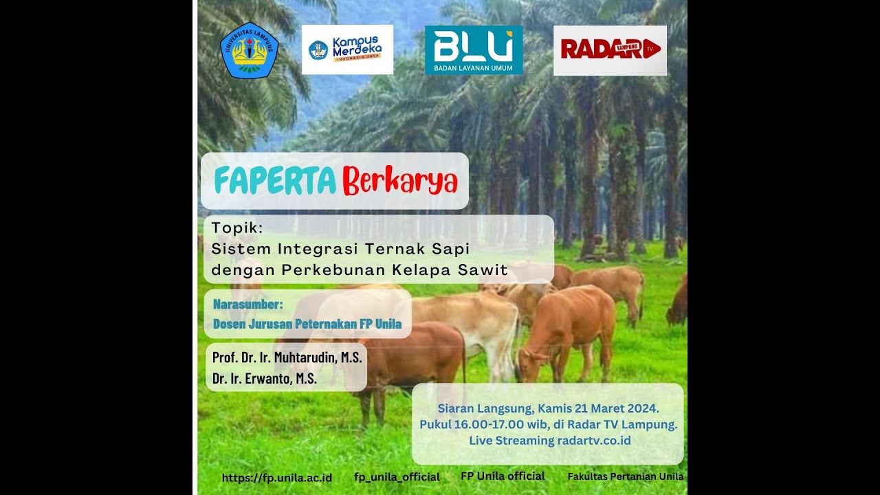 Sistem Integrasi Ternak Sapi dengan Perkebunan Kelapa Sawit - YouTube