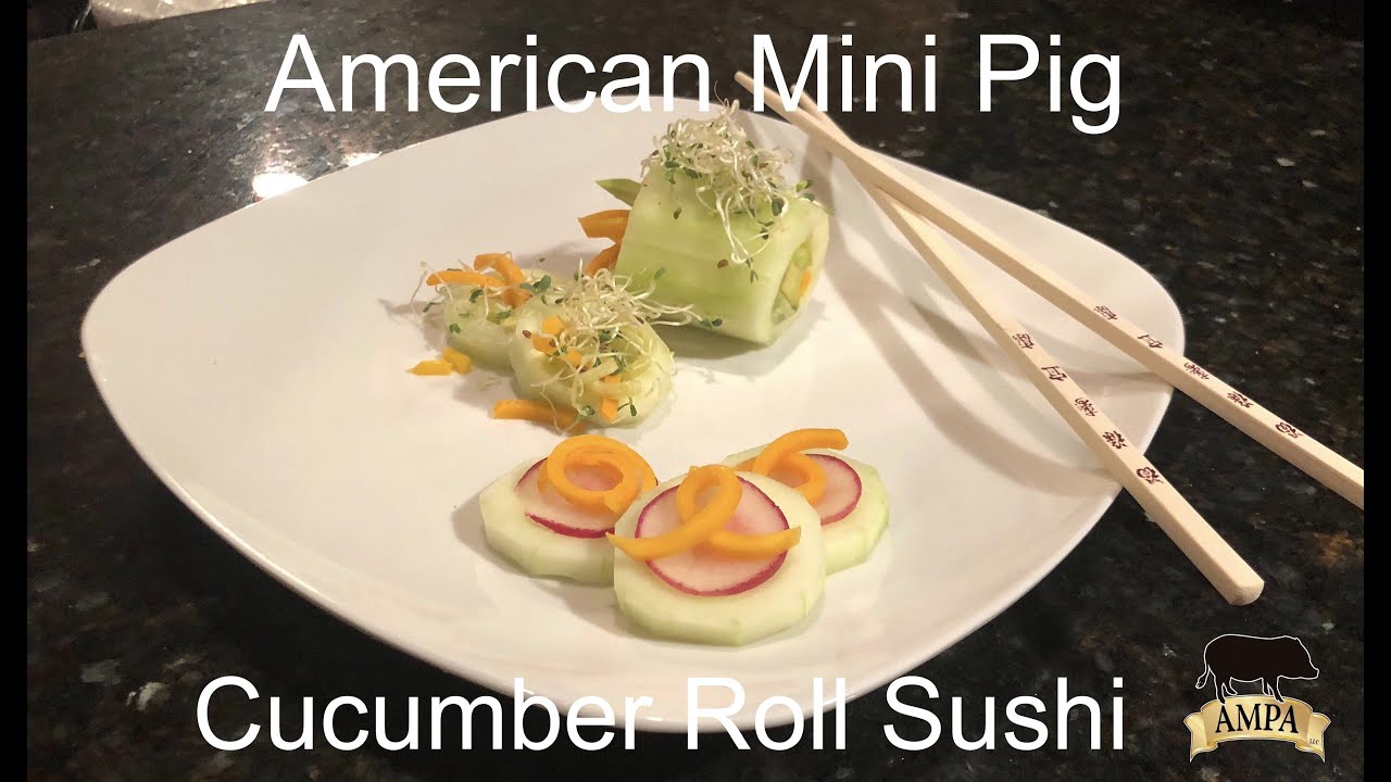 American Mini Pig Sushi - YouTube