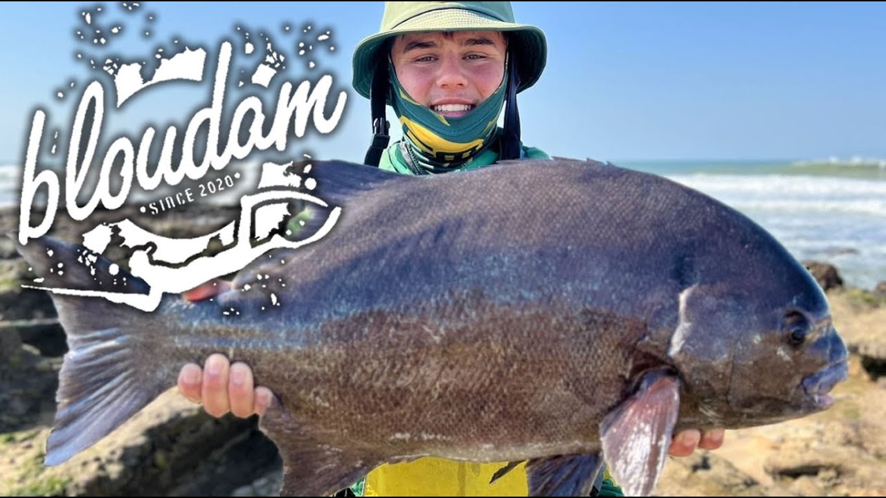 Garden Route Fishing News - PENDING SA RECORD 70cm GALJOEN - YouTube