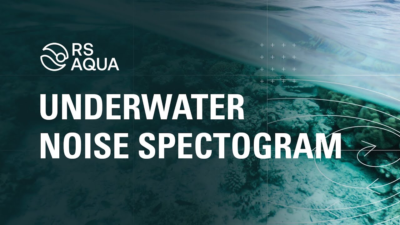 RS Aqua demonstrate spectrograms of underwater noise recordings - YouTube