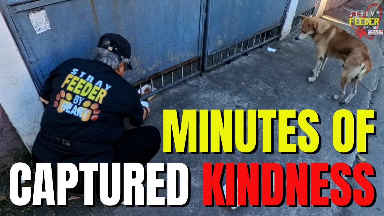 Kindness on the street and kindness on the road captured 😊 - YouTube