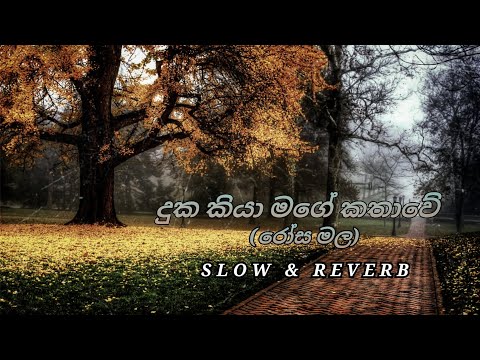 Rosa Mala | Slow & Reverb | Brayan Rose | duka kiya mage kathawe | Tr Music 🥀❤️🌚 | Tr Official 💵