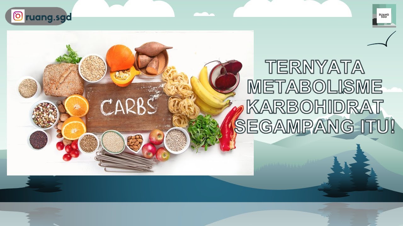 DARI GLIKOLISIS SAMPE SIKLUS KREBS LENGKAP | METABOLISME KARBOHIDRAT ...